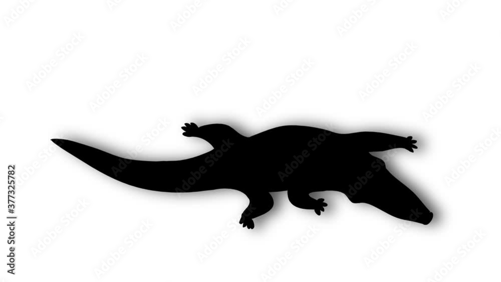Vidéo Stock CROCODILE WALK,Shade of crocodile, walks from left to the ...