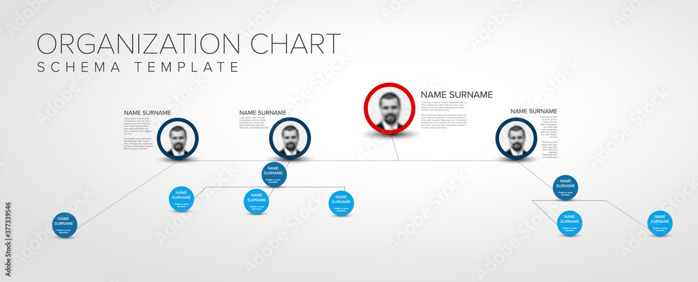 Minimalist 3D hierarchy chart schema with photos Stock Vector | Adobe Stock