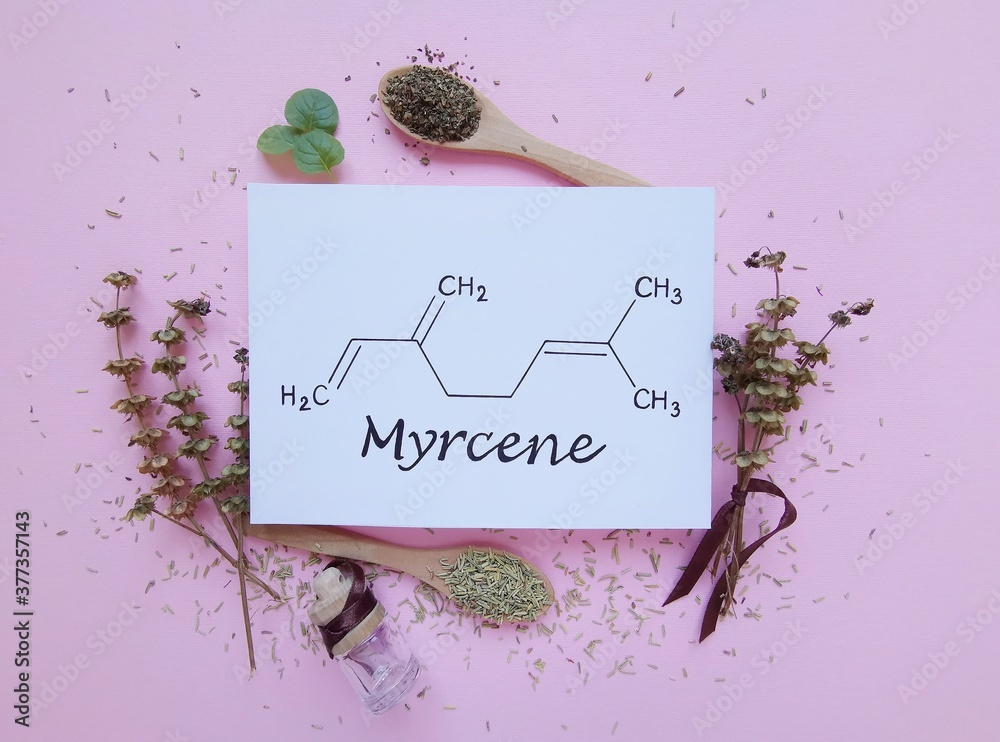 Structural chemical formula of myrcene molecule with dried herb bouquet ...