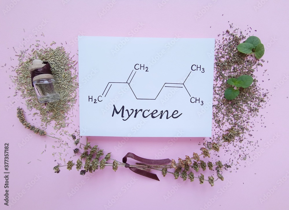 Structural chemical formula of myrcene molecule with dried herb bouquet ...