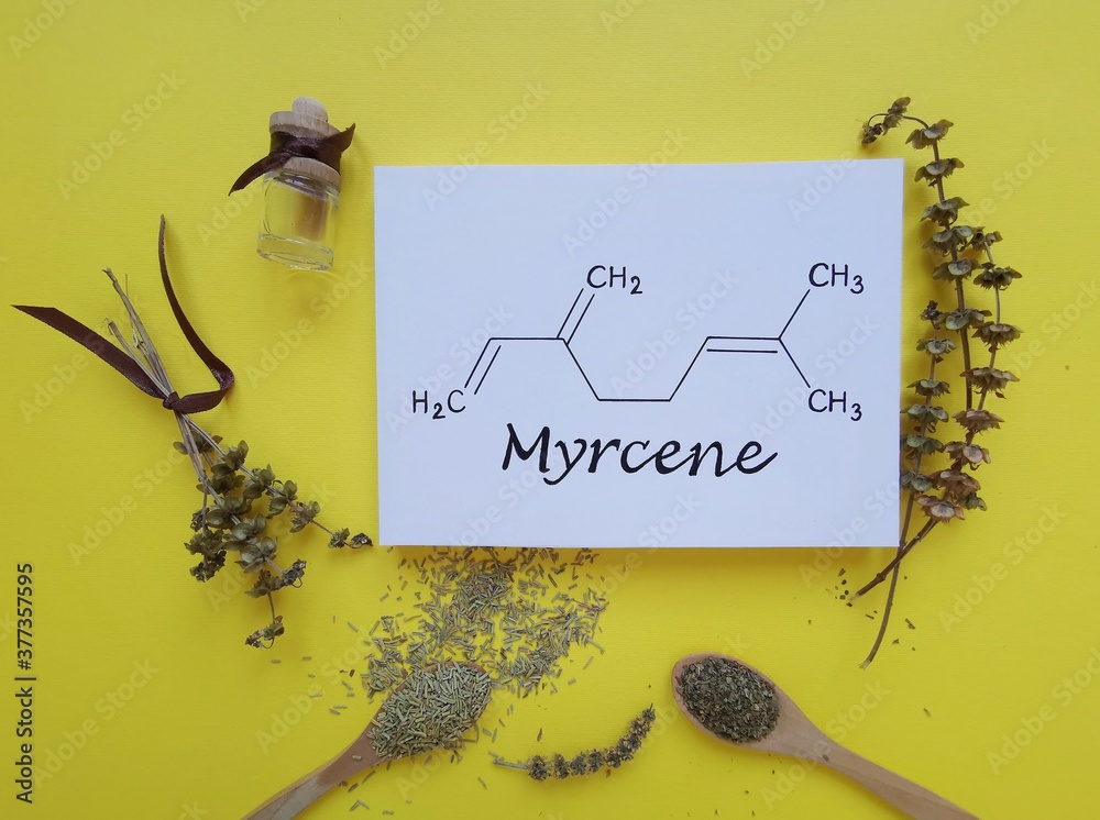 Structural chemical formula of myrcene molecule with dried herb bouquet ...