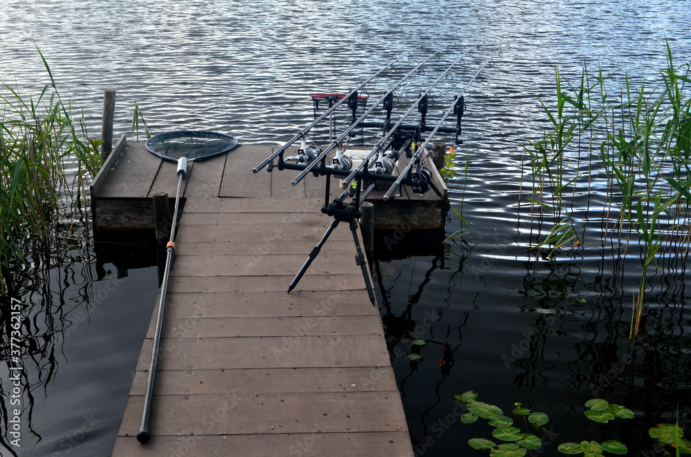 Carp fishing rods in the lake. Rods on a rod pod with the swingers ...
