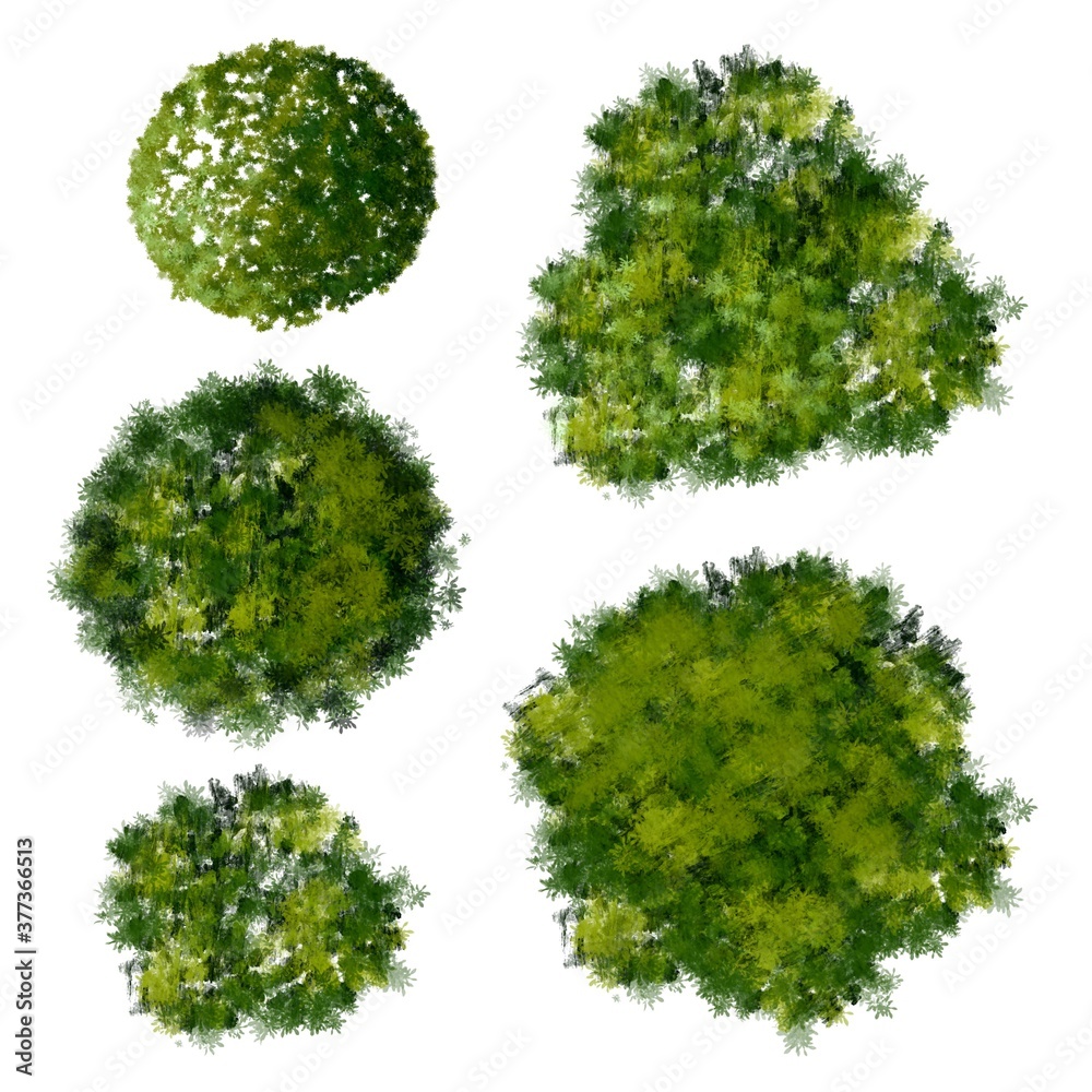 Set of watercolor Green tree top view for landscape plan and ...