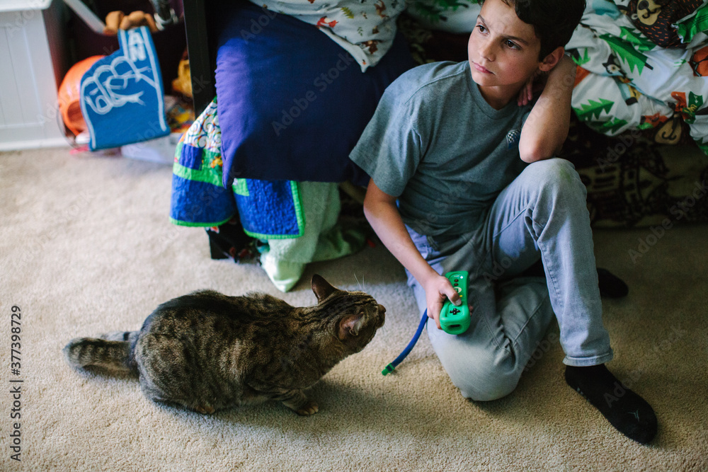 Tabby cat sits next to boy as he holds his video game controller Stock ...