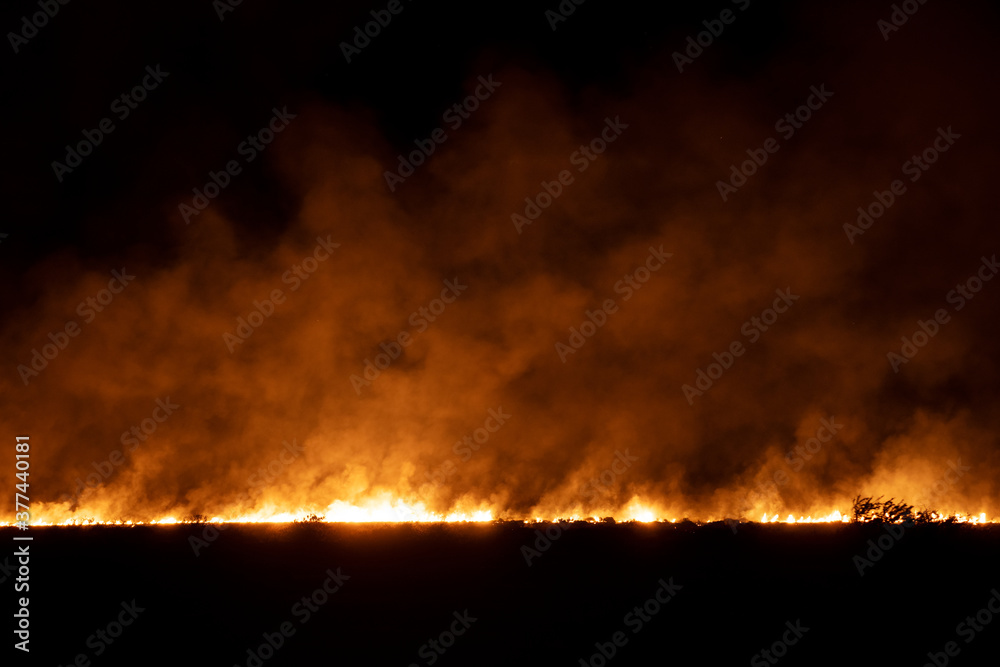 Line of bushfire at night Stock Photo | Adobe Stock