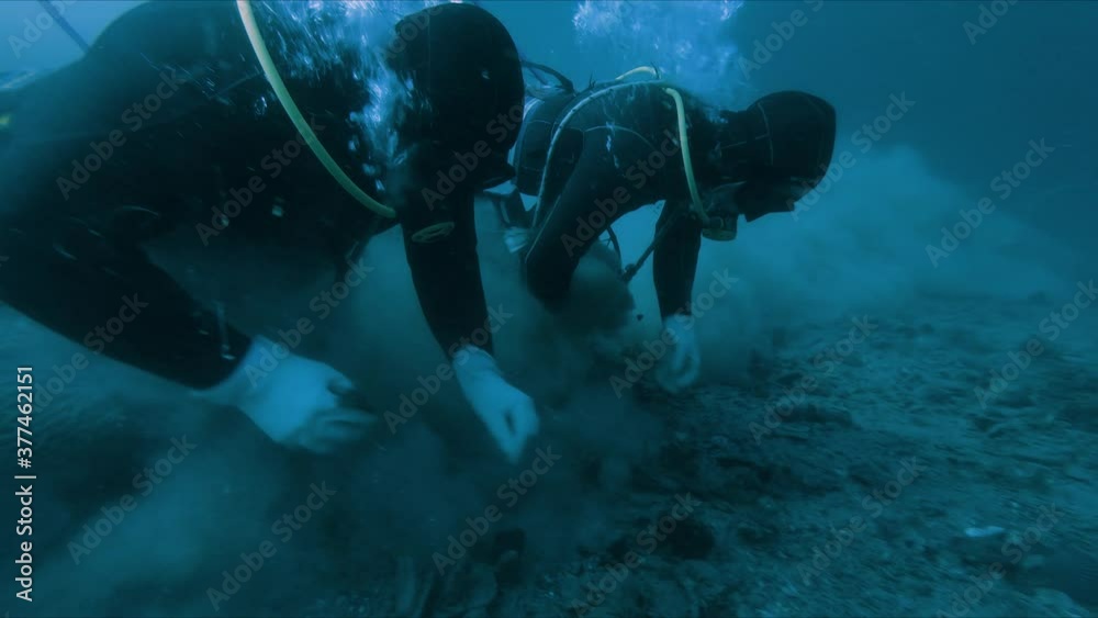 Diving Fishermen Harvesting Scallops On The Depth Of Blue Sea Near ...