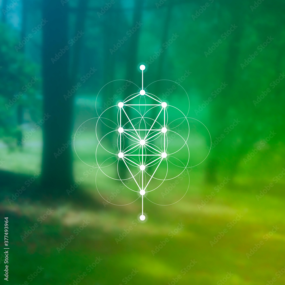 Flower of life sacred geometry illustration with intelocking circles ...