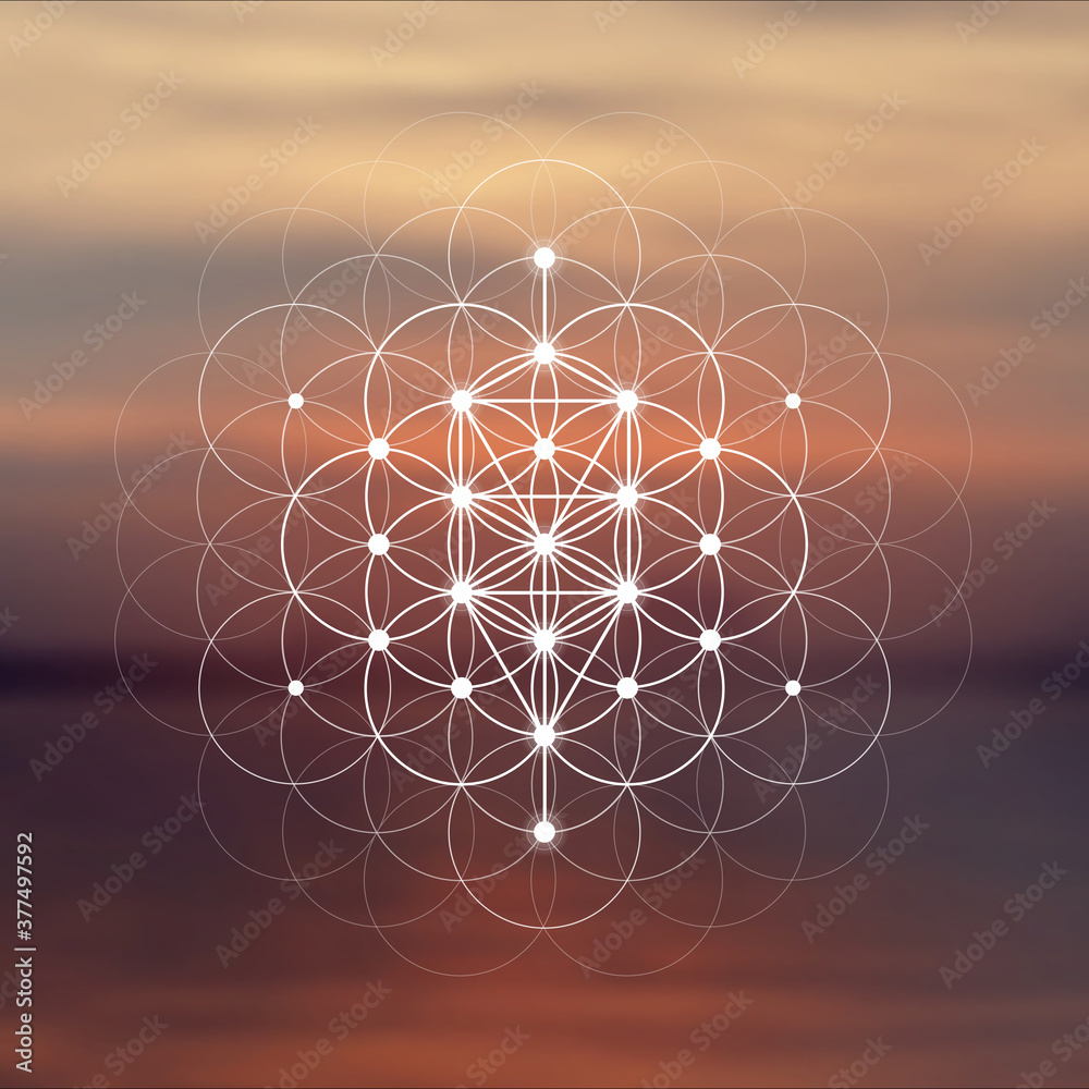 Flower of life sacred geometry illustration with intelocking circles ...