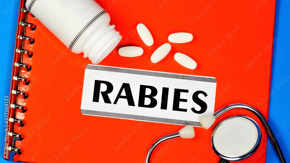 Rabies. Text inscription on the form in the medical folder. Diagnosis ...