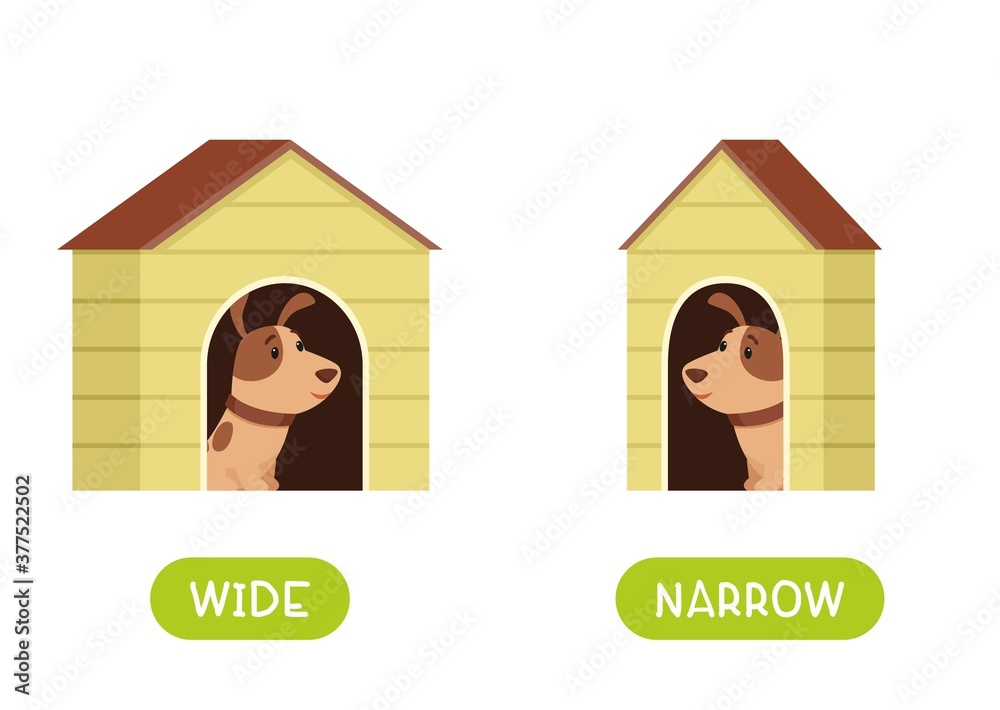 Antonyms concept, WIDE and NARROW. Educational flash card with ...