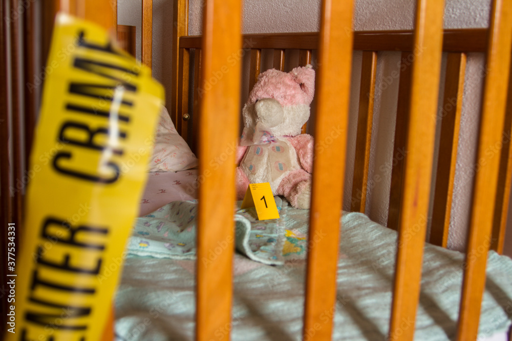 forensic investigations into the kidnapping of children from a crib ...