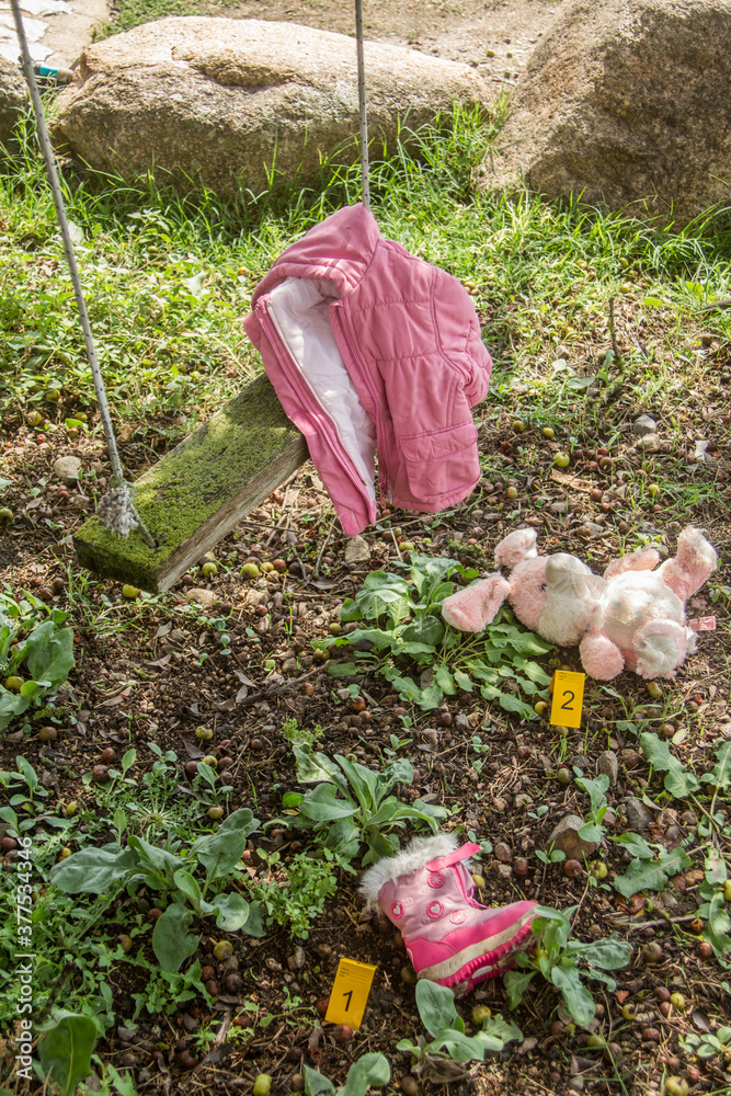 forensic investigations into the kidnapping of children on a swing in ...