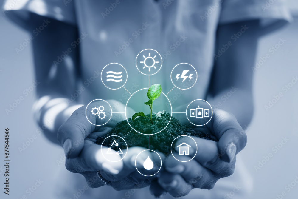 Clean energy and Natural energy resources. Woman hand holding sprout ...