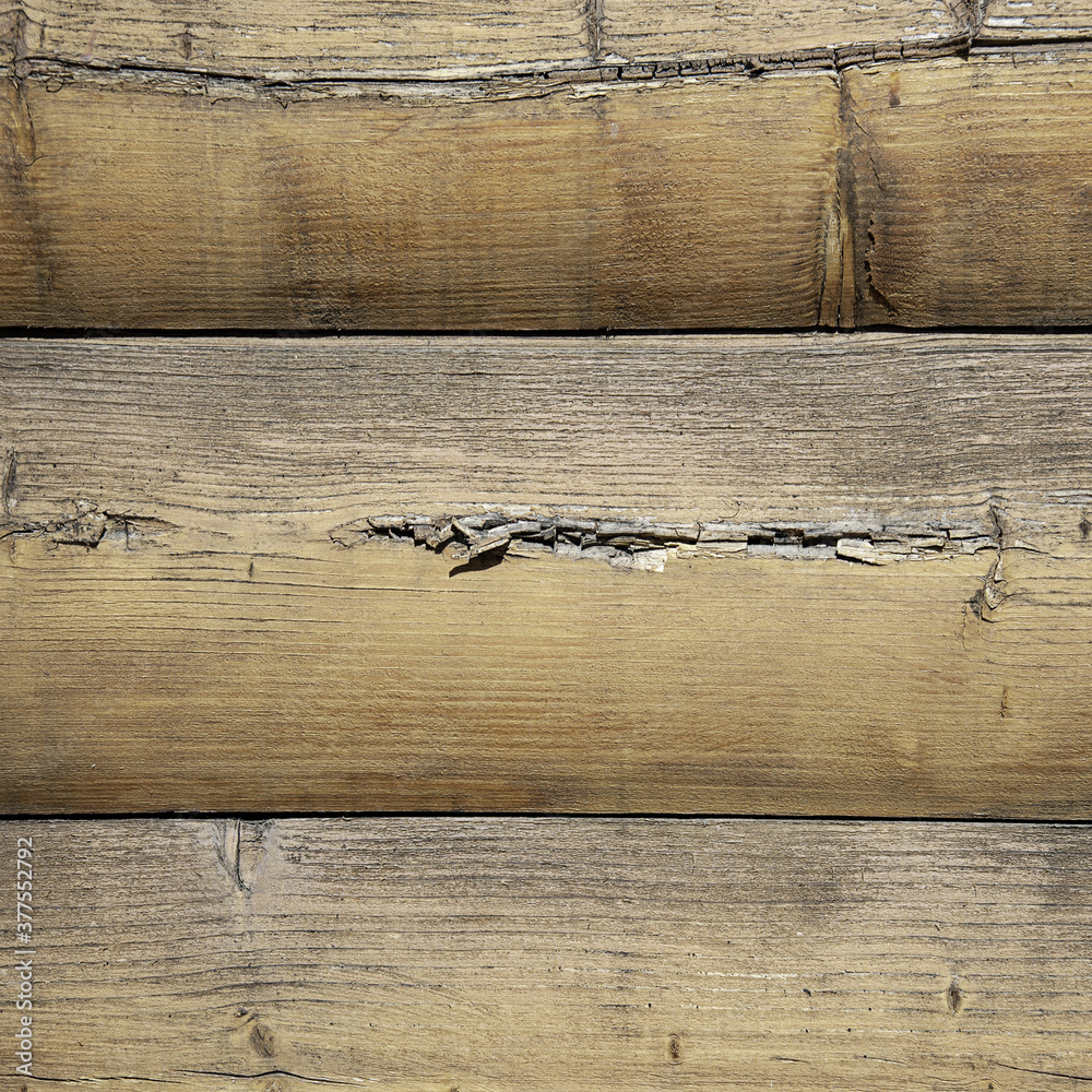 wood texture background n a wall of a log cabin closeup for design ...
