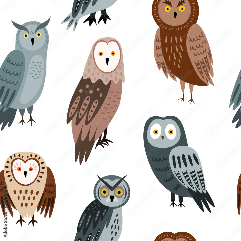 Owls seamless pattern. Vector Illustration isolated on white. Night ...