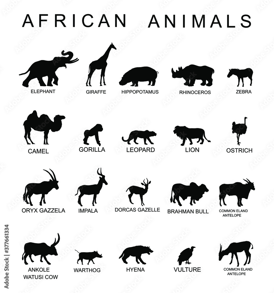 Group of African animals collection vector silhouette illustration ...
