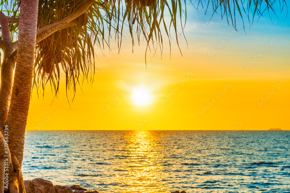 Sea beach sunset landscape with sunset sun on blue sea and palm tree ...