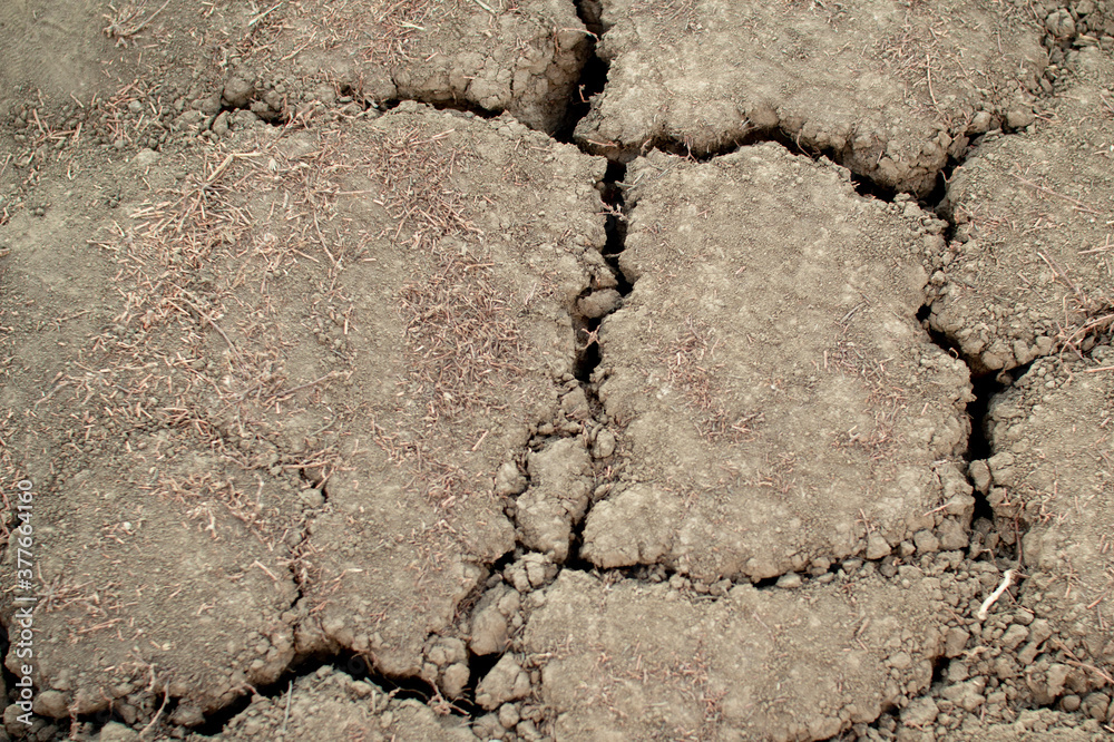 Waterless dry dead land with cracks . Post-apocalyptic Earth after an ...
