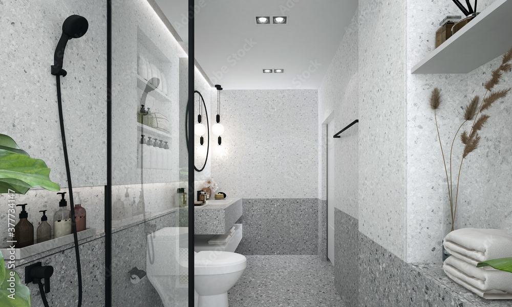 Modern interior design of bathroom and toilet space and terrazzo wall ...