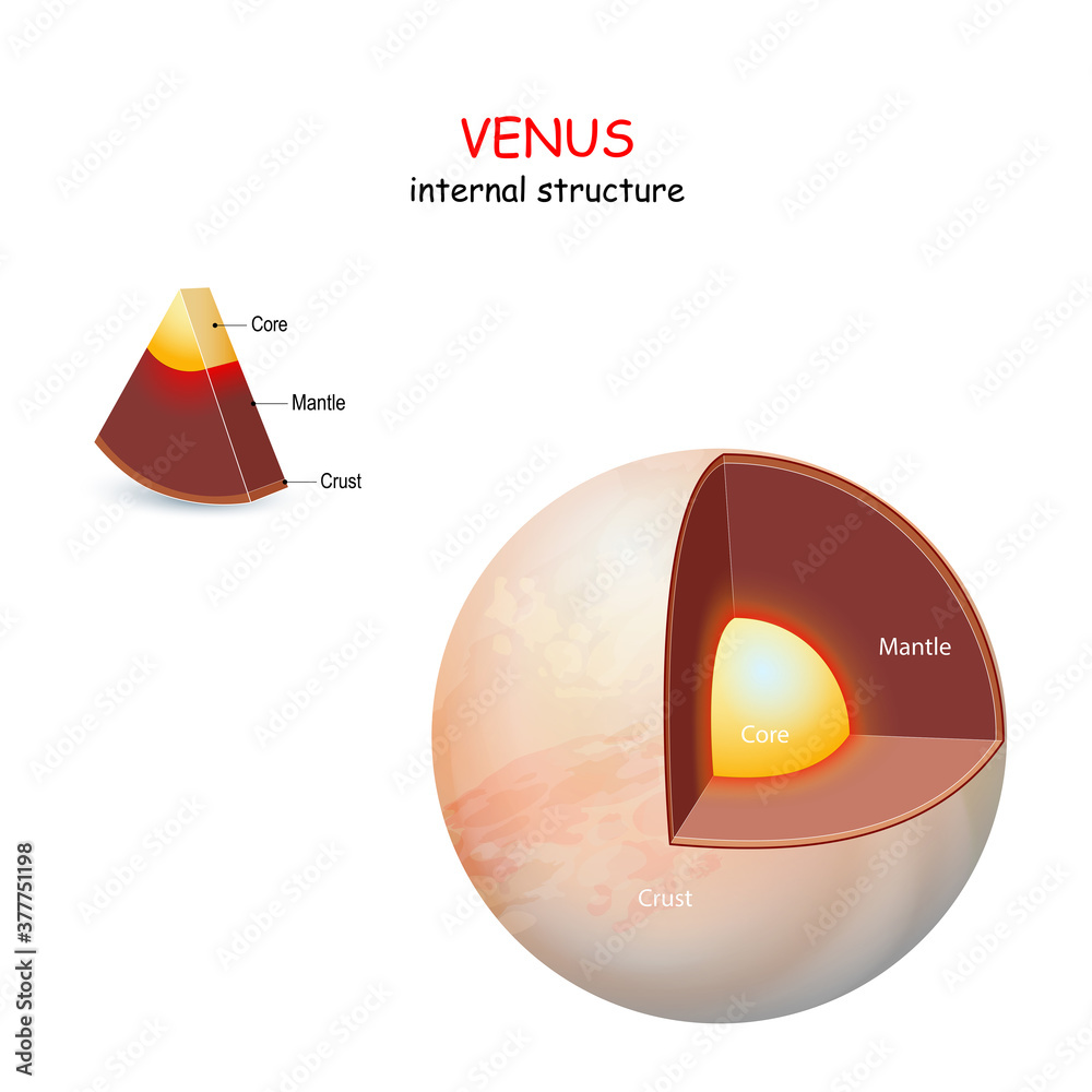 Venus internal structure. Stock Vector | Adobe Stock