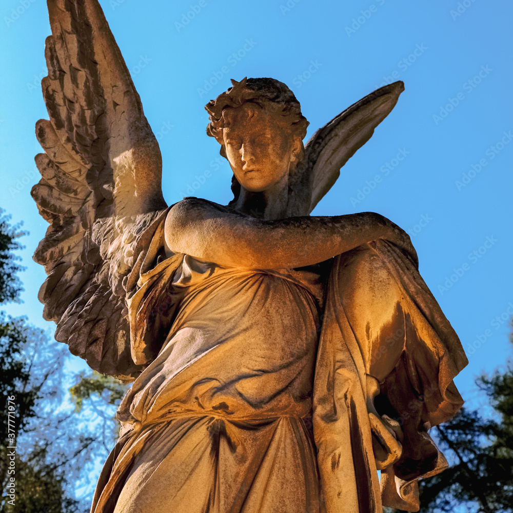 Death And Life Angel