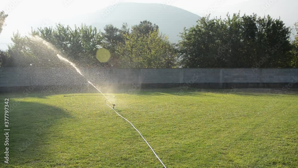 Sprinkler spraying water to grass field on football stadium. Lawn ...
