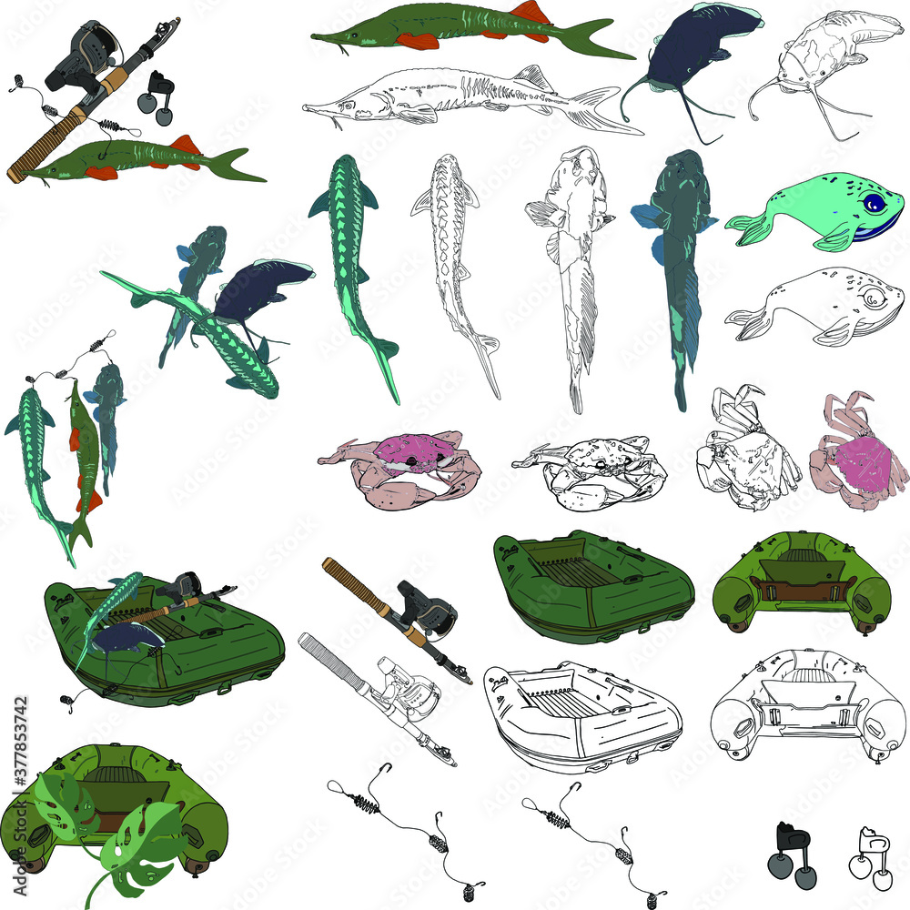 Vector set of sport fishing. Set of boat, tackle, river fish for ...