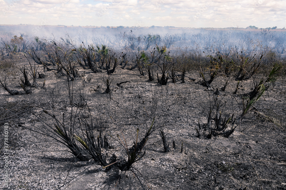 Wasteland remains smoldering with embers after wild fire burned through ...