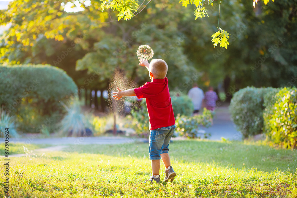 Little cute boy with Down Syndrome plays with huge soap bubbles in the ...