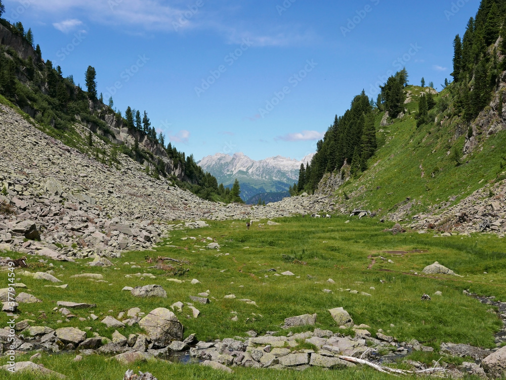 meraviglioso panorama delle montagne dolomitiche in estate con verdi ...