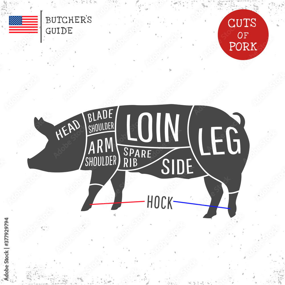 American (US) cuts of pork butcher diagram. Stock Vector | Adobe Stock