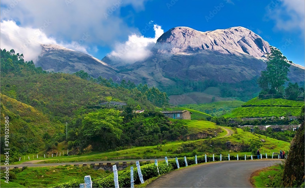 A Beautiful View Of Devikulam hills in Munnar Kerala India Stock Photo ...