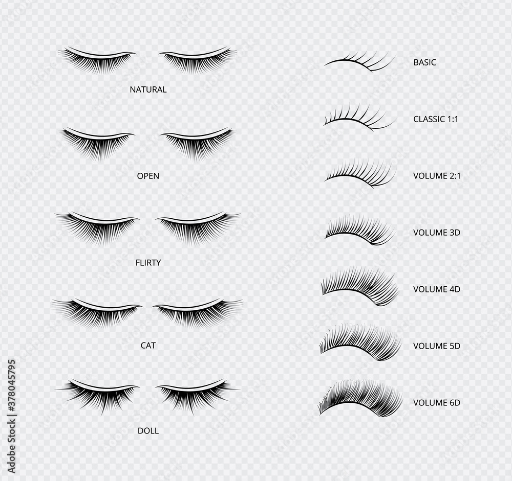 False eyelashes types and kinds poster of vector illustrations isolated ...