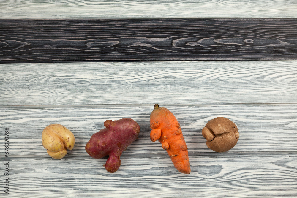 Multi-colored ugly vegetables (potatoes and carrots) lies on one row on ...