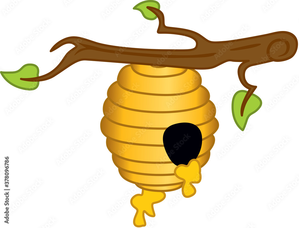 Honey Beehive Hanging From Tree
