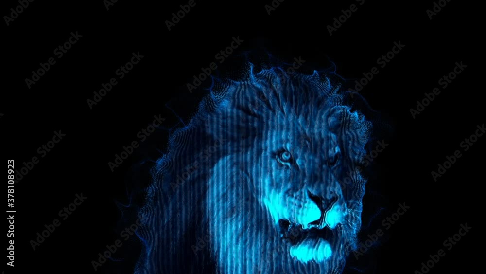 Ghost Lion Roars Stock Video | Adobe Stock