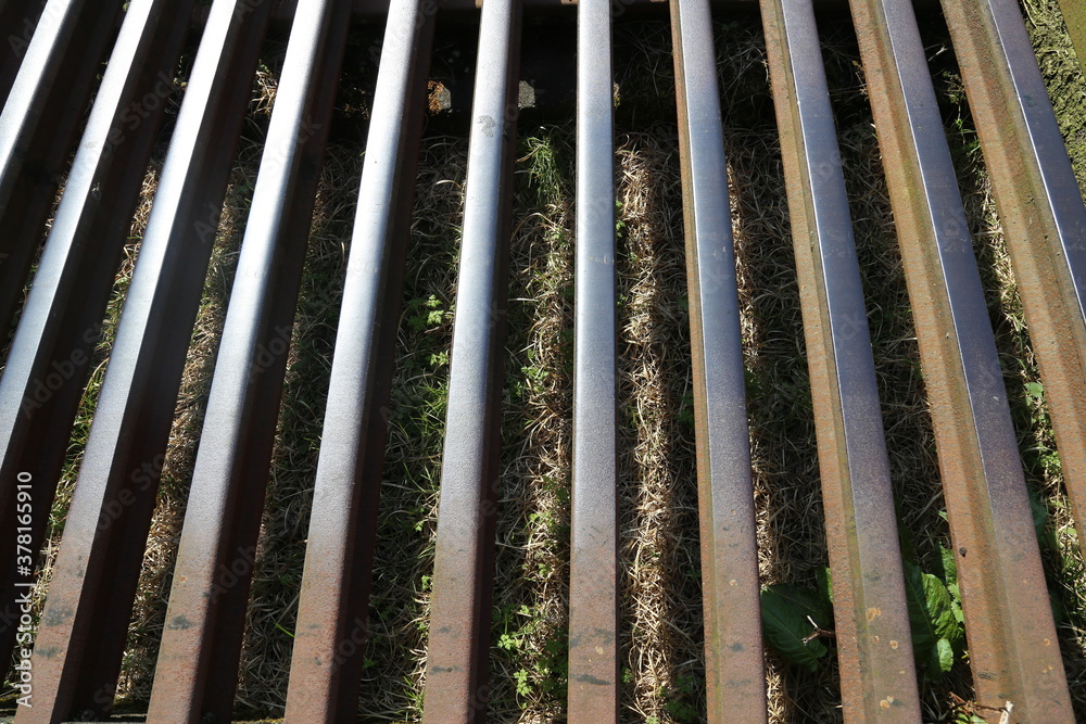 Parallel metal bars in a cattle grid. Stock Photo | Adobe Stock