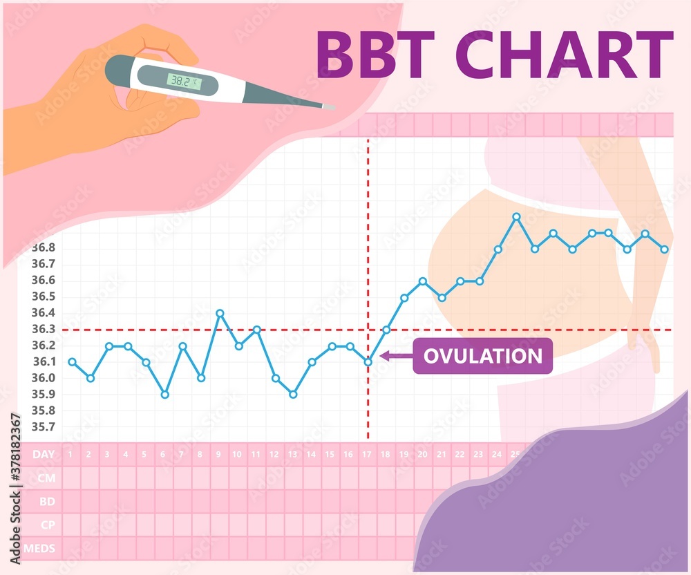 Bbt Chart Template