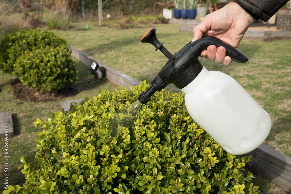Gardening tasks. Closeup view of a female gardener hand holding a ...