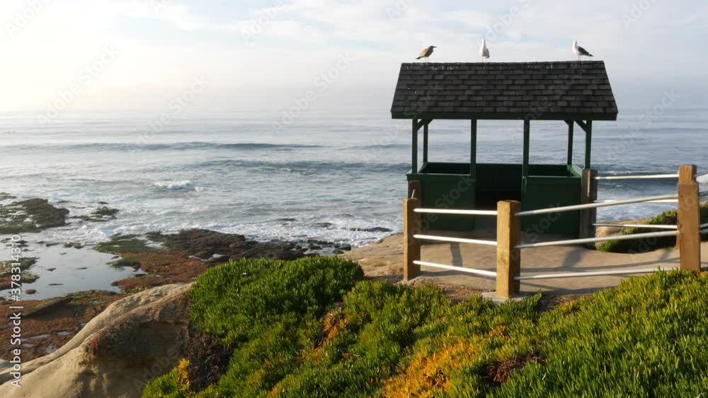 Sea gull birds on alcove roof. Seagulls on wooden arbor, pacific ocean ...