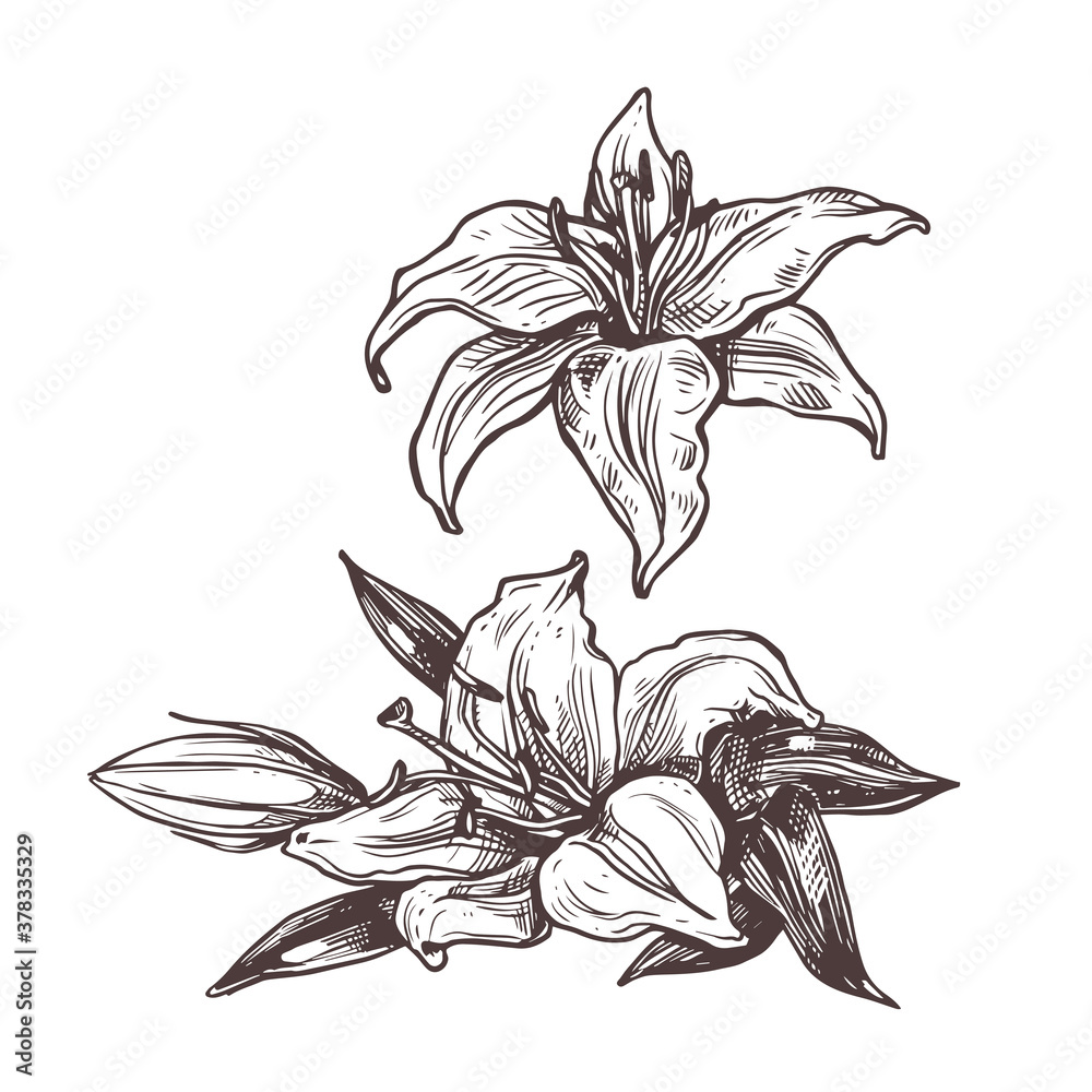 Loss Of Innocence Symbol