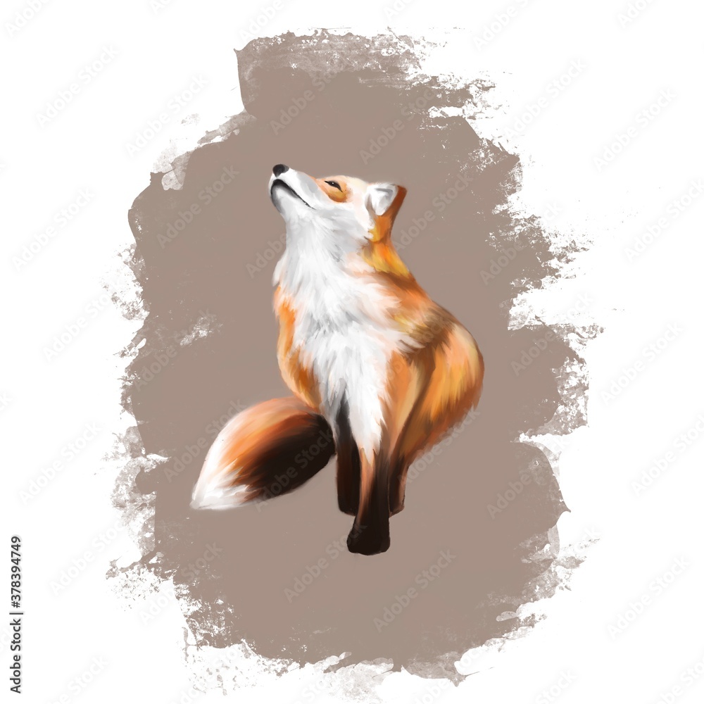 Sitting Fox Illustration