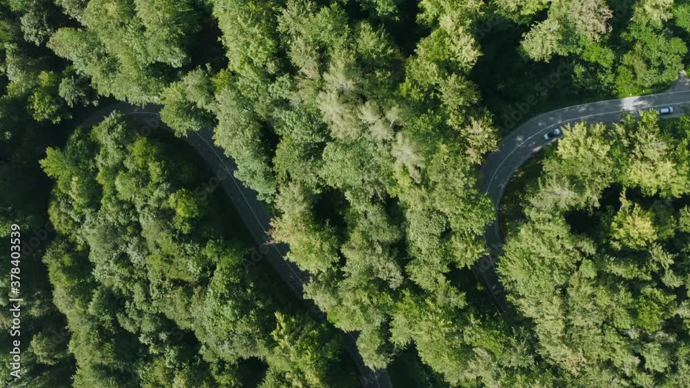 Traffic in the forest - top view at a curvy road in a green forest with ...