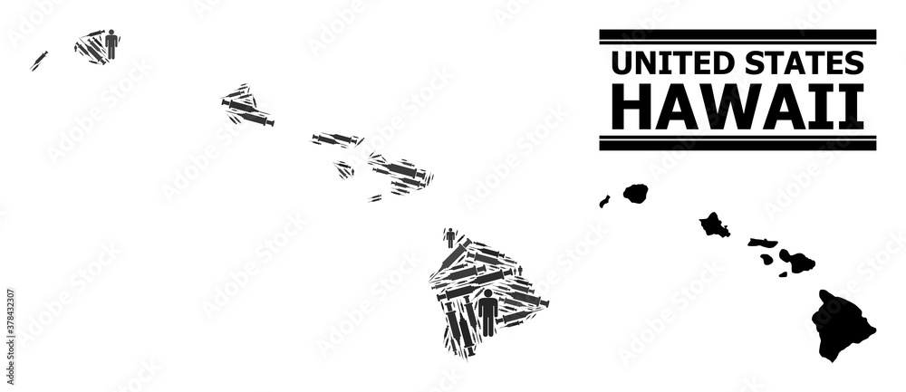 Covid-2019 Treatment mosaic and solid map of Hawaii State. Vector map ...