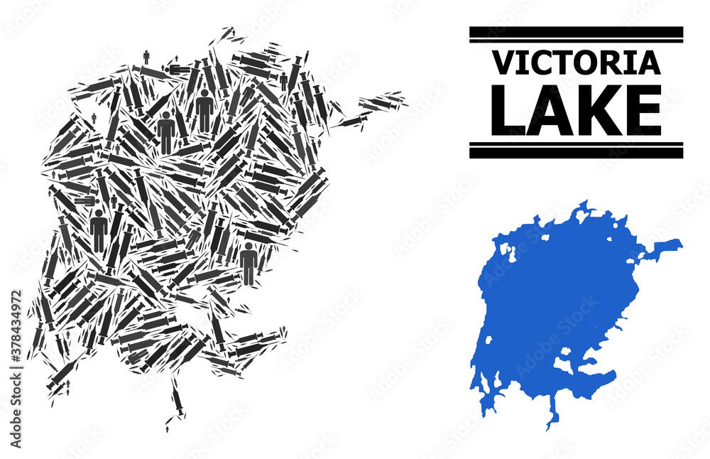 Covid-2019 Treatment mosaic and solid map of Victoria Lake. Vector map ...