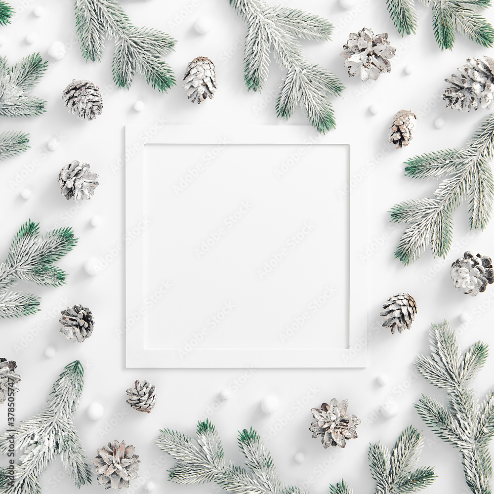 Evergreen tree branch with snow and pine cones. Square composition ...