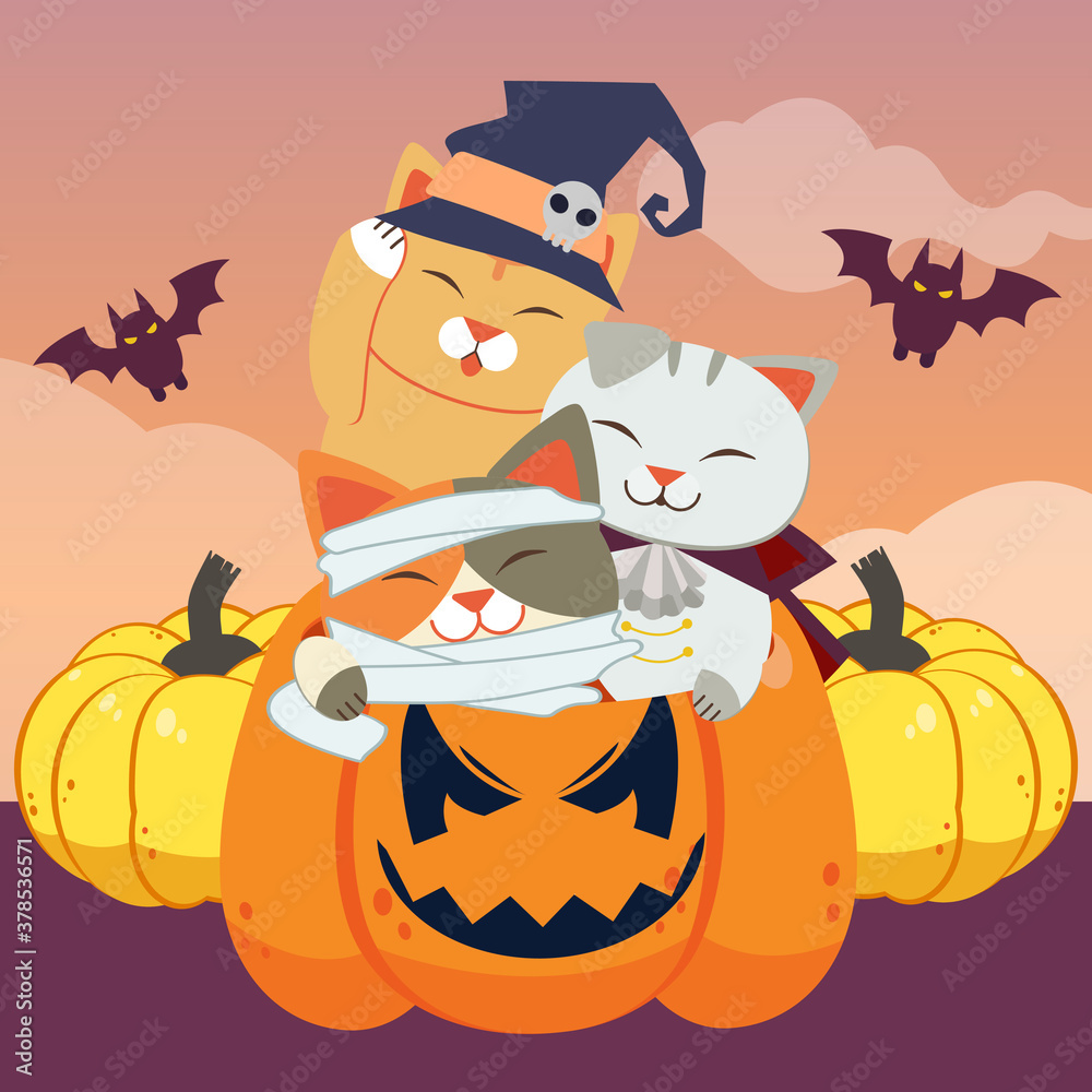 The halloween party for friend group of black cat wear fantasy costume ...