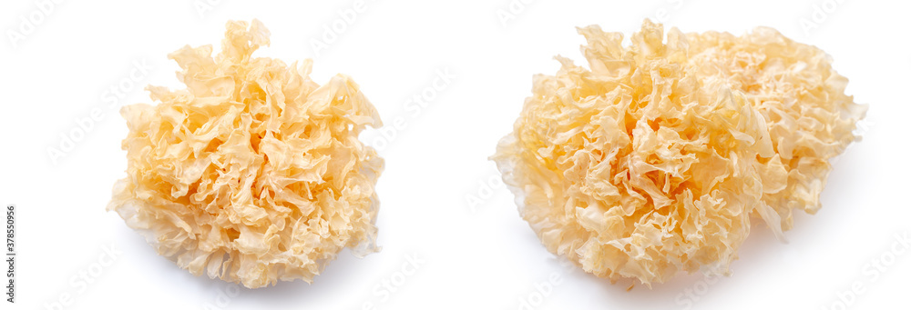 Dried snow fungus, also known as snow ear, white jelly mushroom, silver ...