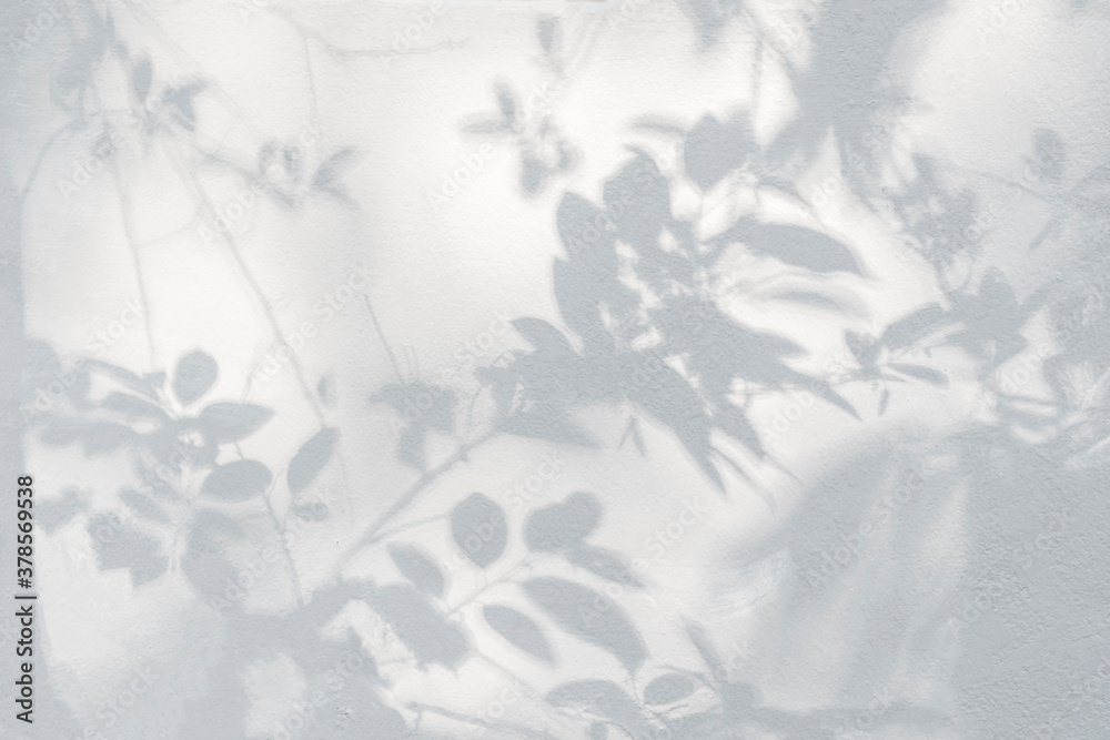 Leaves shadow and light on wall background. Natural leaves tree branch ...
