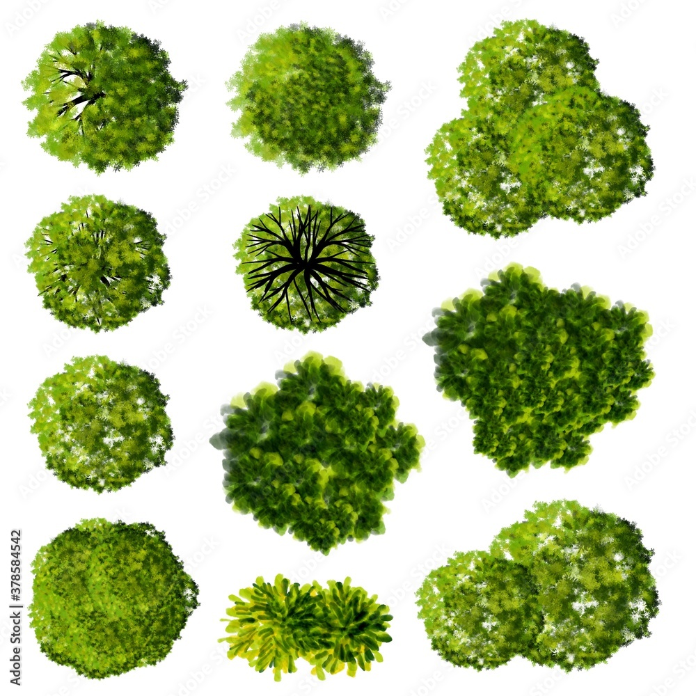 Set of watercolor tree top view for landscape plan and architecture layout drawing Stock ...